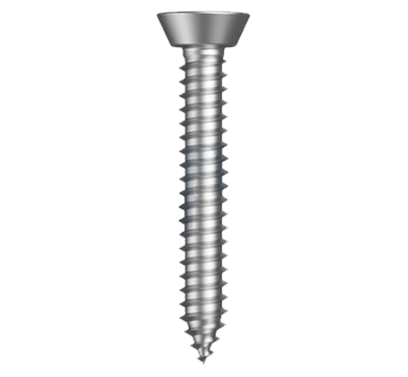 Under Cut Csk Head SS 304 (A2) Stainless Steel Self Tap Screw 6g - 12g ...